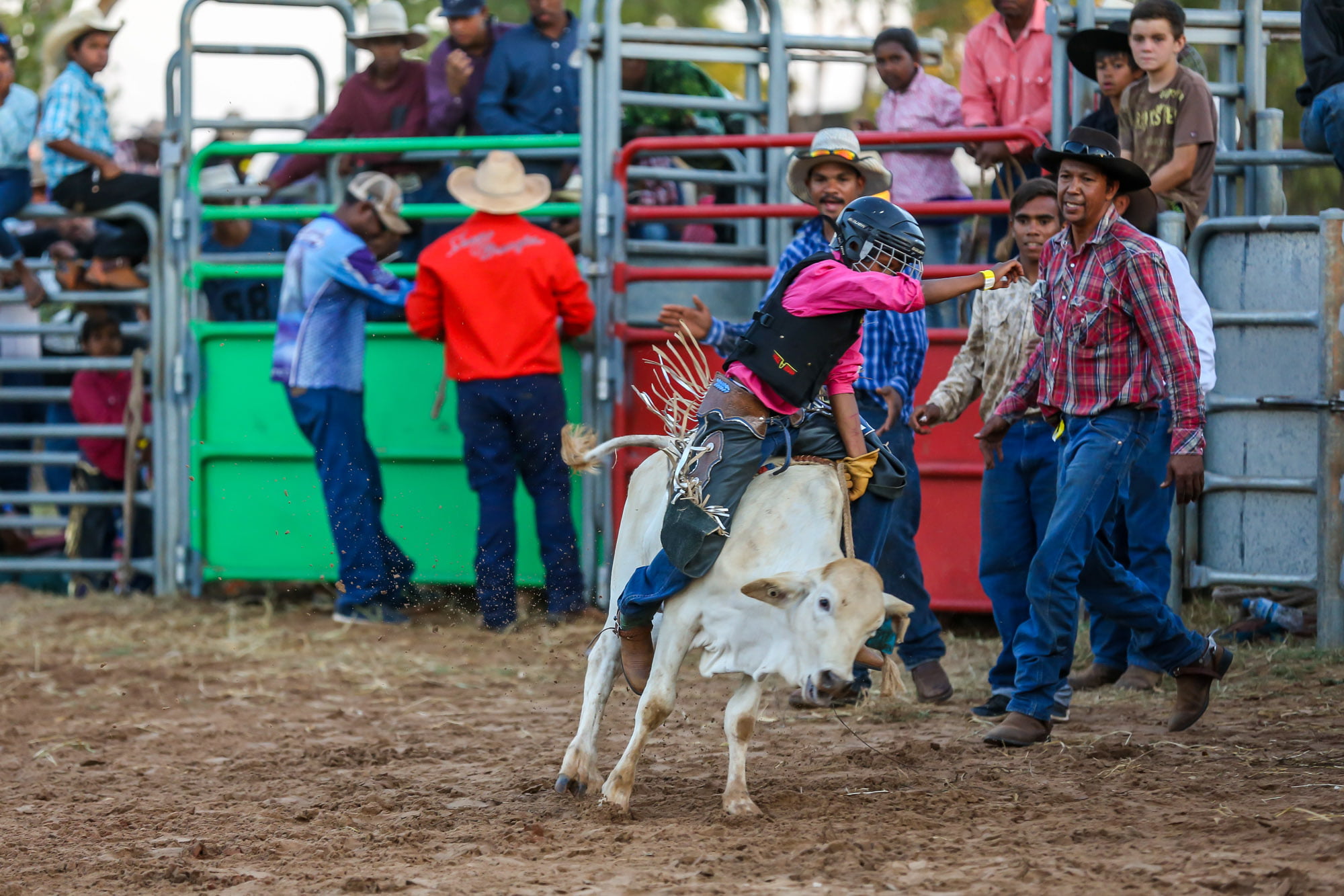 Gallery - Rhythm and Ride