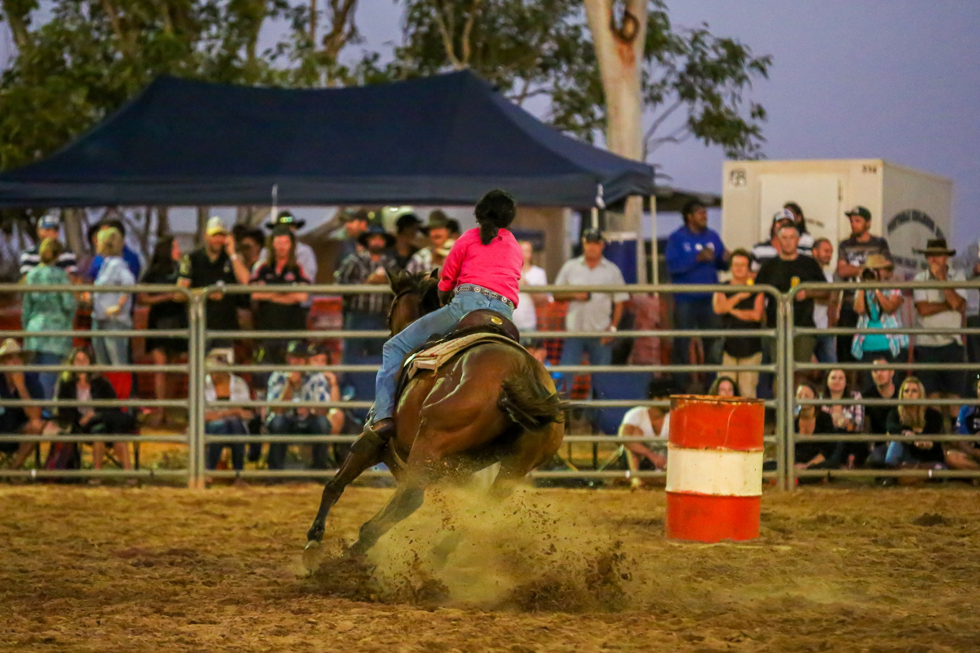 Gallery - Rhythm and Ride