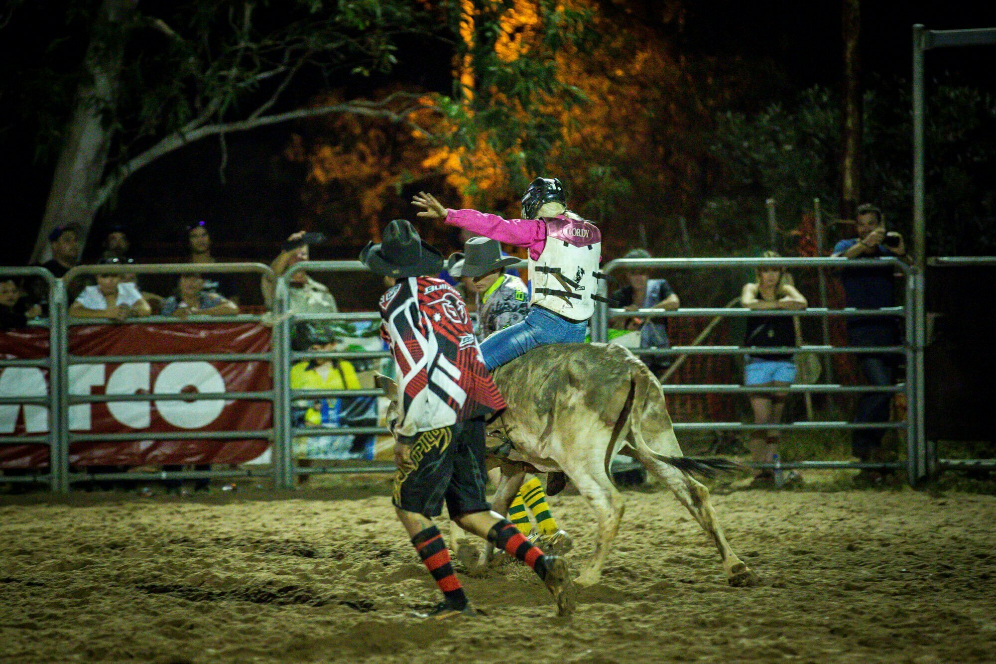 Gallery - Rhythm and Ride