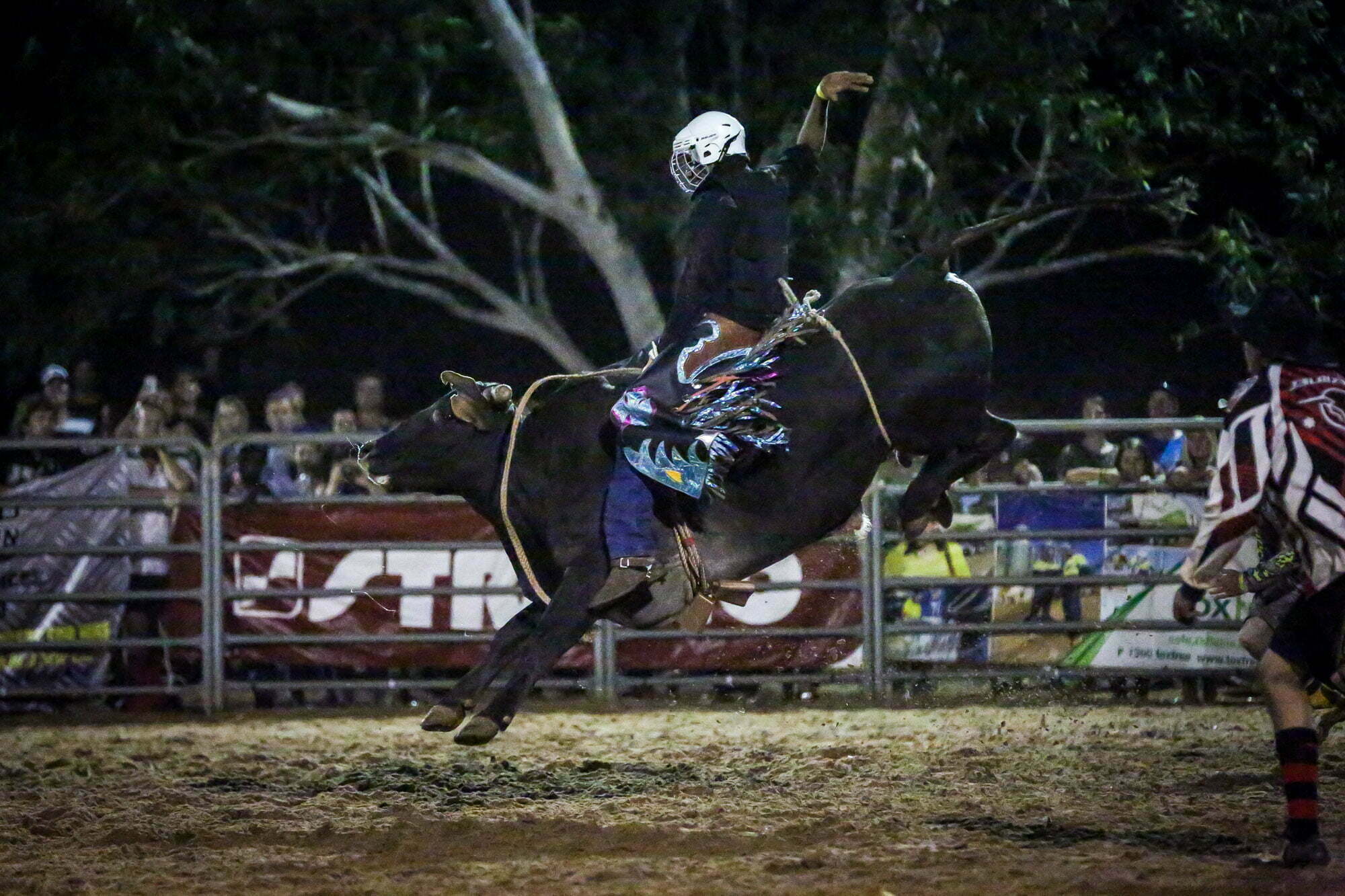 Gallery - Rhythm and Ride